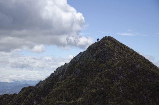 Chocho (Tarwi): A Powerful Superfood from the Andes