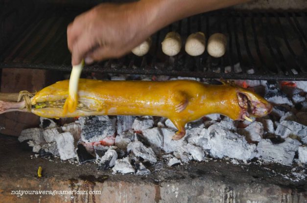 How To Roast Guinea Pig a la Ecuador