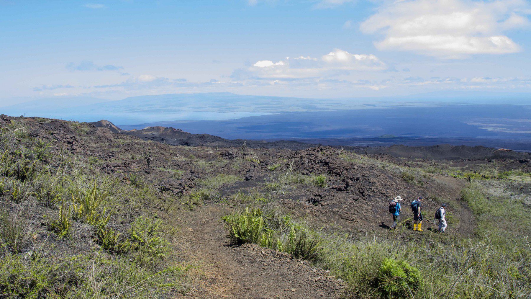 Volcán Chico, Isla Isabela | Not Your Average American