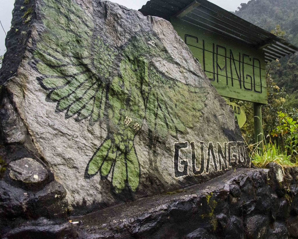 A Day Trip to Guango Lodge | Not Your Average American