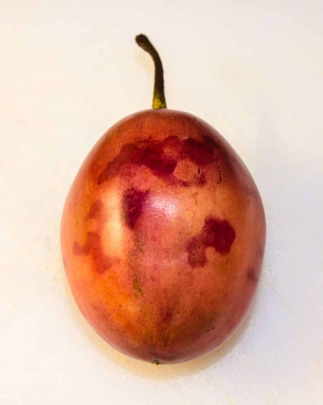 Look Out USA, Here Comes The Tree Tomato!