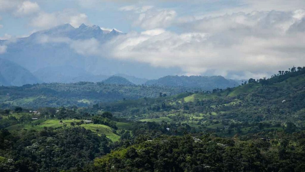 Choco-Andino: A New Biosphere Reserve in Ecuador