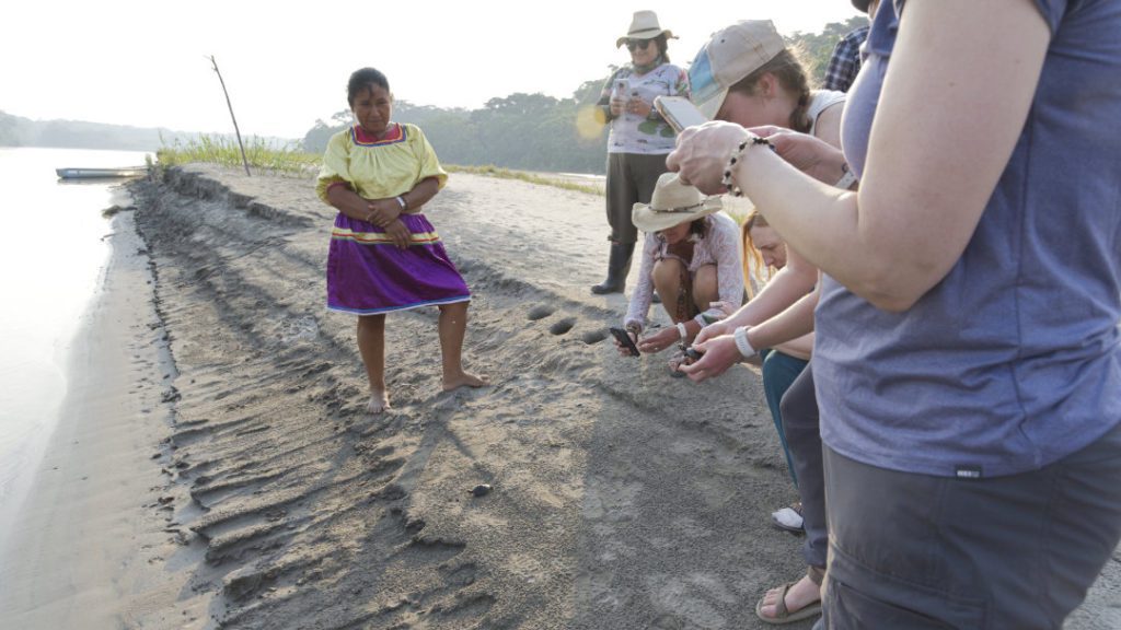 Saving Amazon Turtles in the Cuyabeno, Ecuador