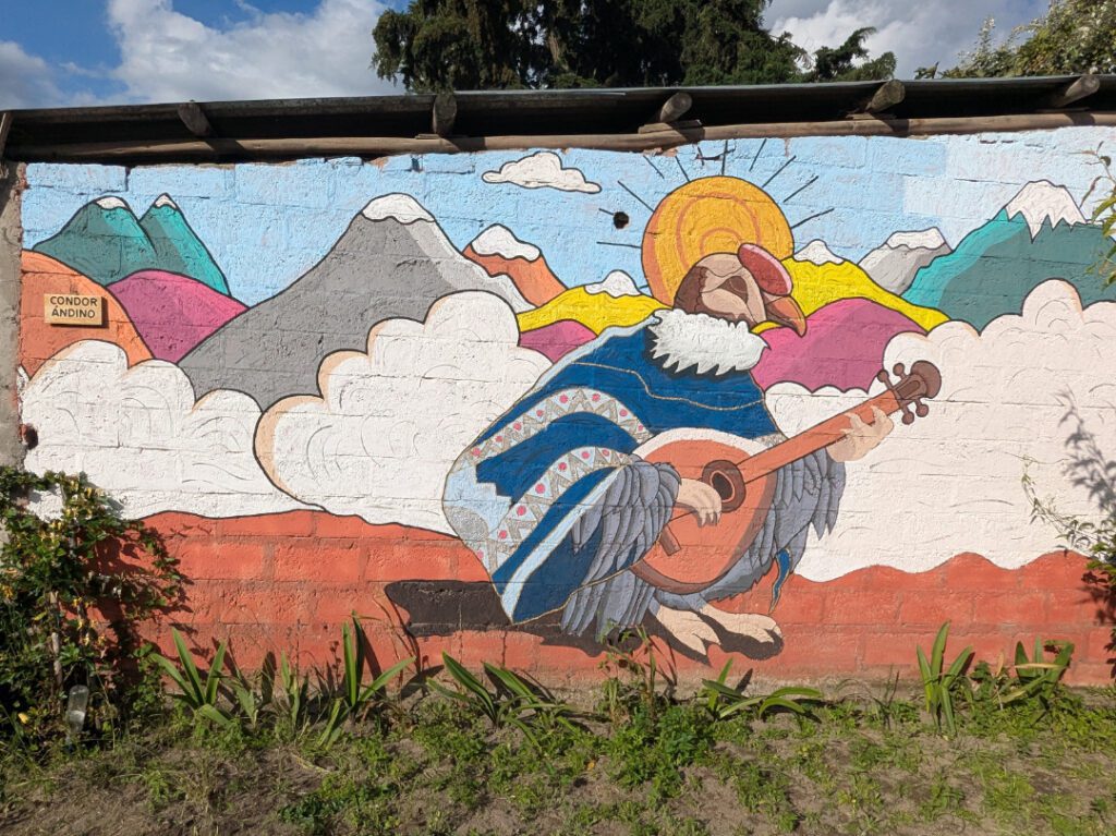 Máchica: The Next Andean Superfood?