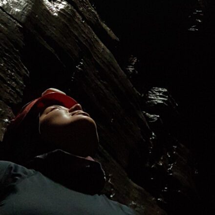 El Chontacuro: el Manjar Exótico de la Palma de La Chonta